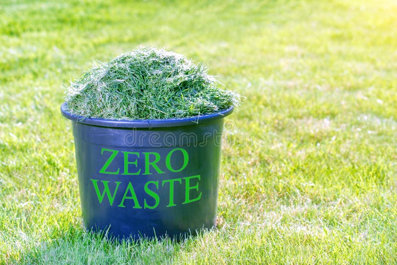 Zero Waste Theme. Container with Fresh Grass for Compost Stock Photo ...