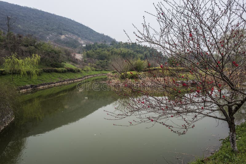Zhejiang Changxing Countryside Scenery. Stock Image - Image of bridge ... Zhejiang Changxing Countryside Scenery. Stock Image - Image of bridge ...
