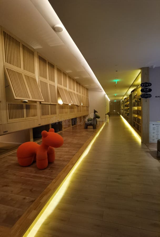 Zhuhai Korean Spa Resting Area Ai Artificial Intelligence Tracking ...