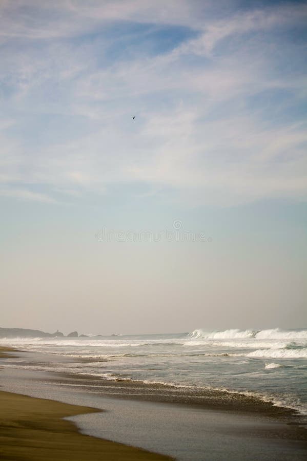 Zicatela Beach and Eagle in the Sky Puerto Escondido Mexico Stock Image ...