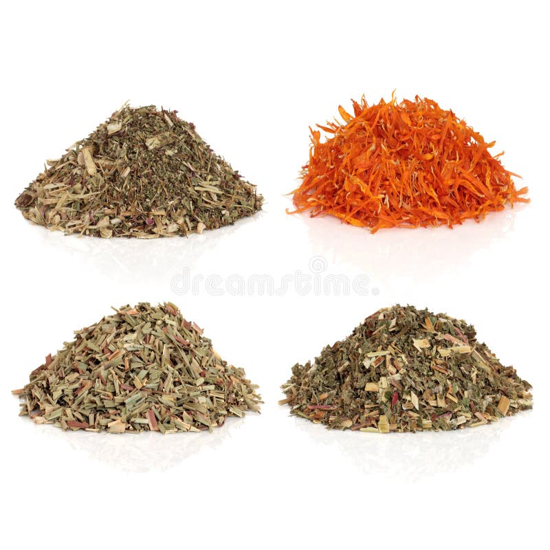 Cytryny brahma kogut kupy zdjęcie stock. Obraz złożonej z kupy - 3667854