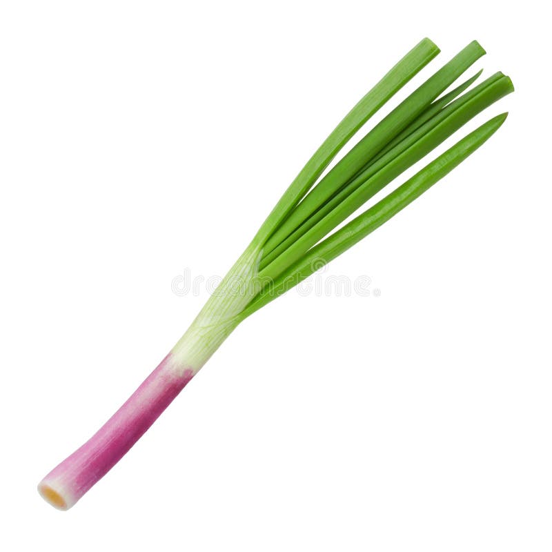 Dymka obraz stock. Obraz złożonej z makro, roślina, zakupy - 30683159