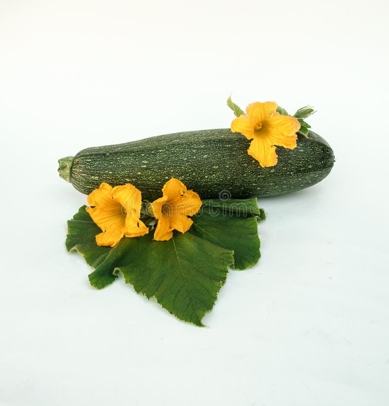 Zielony Kabaczek Lub Zucchini Obraz Stock - Obraz złożonej z ...