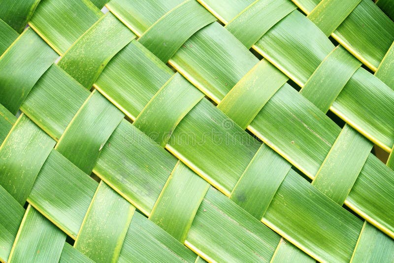 Zigzag Interlocking of Coconut Leaves Weave Stock Photo - Image of ...