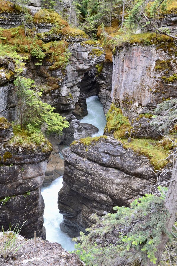 Zigzagging Cliffs and Flowing River at Maligne Canyon in Jasper ...