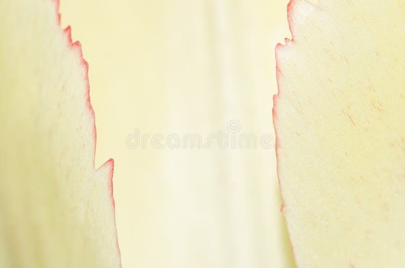 Crooked Red Bordered Edges Stock Photos - Free & Royalty-Free Stock ...