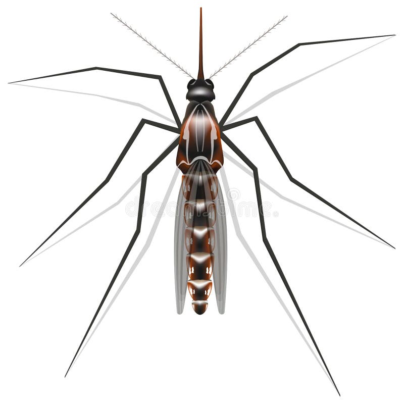 3D Illustration of ZIKA VIRUS with Human Red Blood Cells RBC in the ...