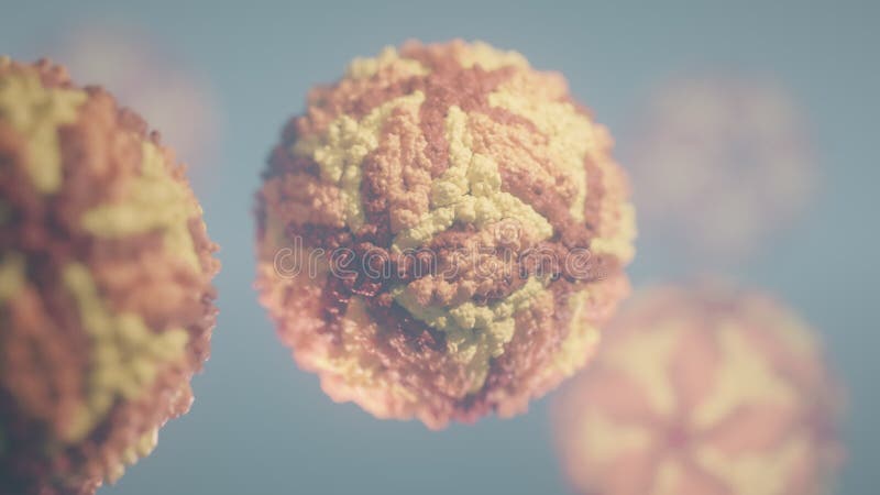 Zika Virus Biological Assembly. Stock Video - Video of infectious ...