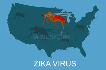 Zika Virus Concept, USA Map, Vector Illustration Stock Vector ...