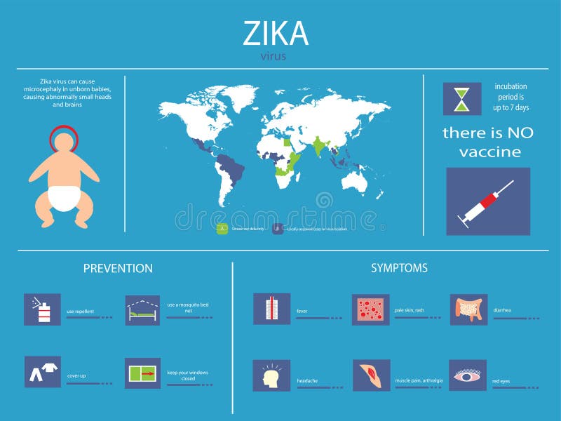 Zika Virus Info Graphic Vector B= Stock Vector - Illustration of fever ...