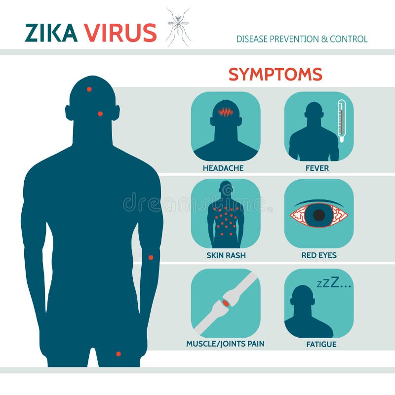 Control Infographic Pest Stock Illustrations – 428 Control Infographic ...