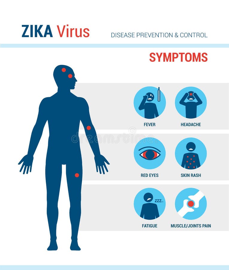 Zika virus symptoms stock vector. Illustration of emergency - 66705275