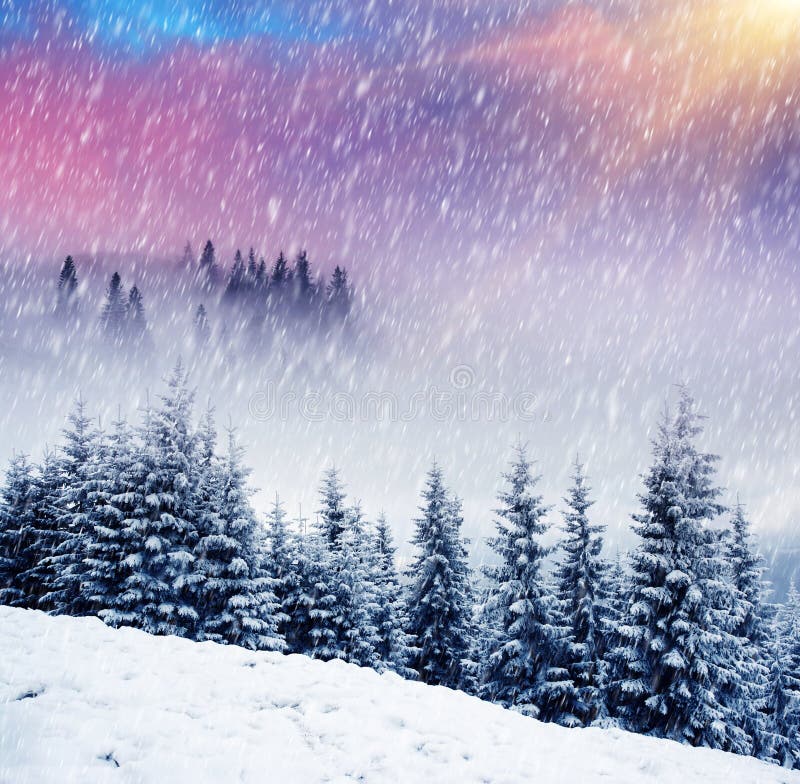 Zima obraz stock. Obraz złożonej z krajobraz, natura - 25151857