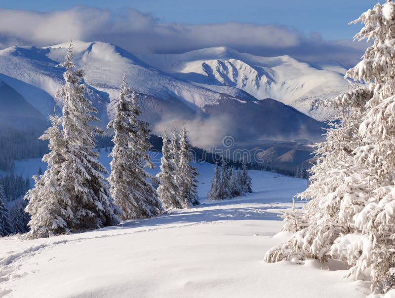 Piękny Zima Krajobraz W Górach Przy Nocą Z Gwiazdami Zdjęcie Stock ...