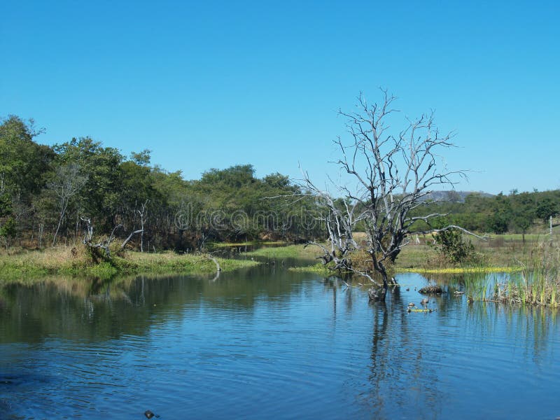 Zimbabwe nature stock photo. Image of water, mountains - 1149836