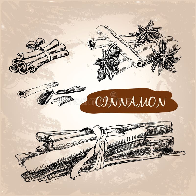 Zimt Stock Illustrationen, Vektoren, & Kliparts - 31,302 Stock ...