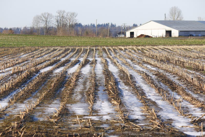 Zimy pole uprawne obraz stock. Obraz złożonej z budynek - 28511847