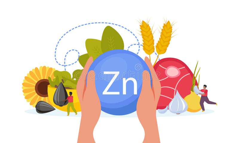 Zinc Immune Stock Illustrations – 159 Zinc Immune Stock Illustrations ...