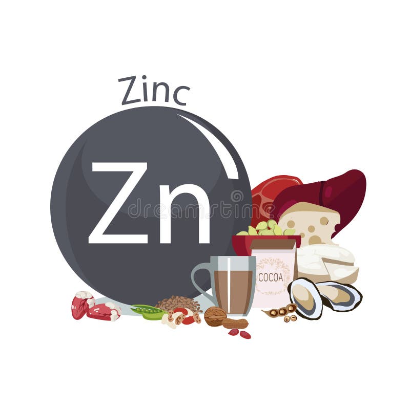 Zinc. Products with the Maximum Content of Microelements. Stock Vector ...