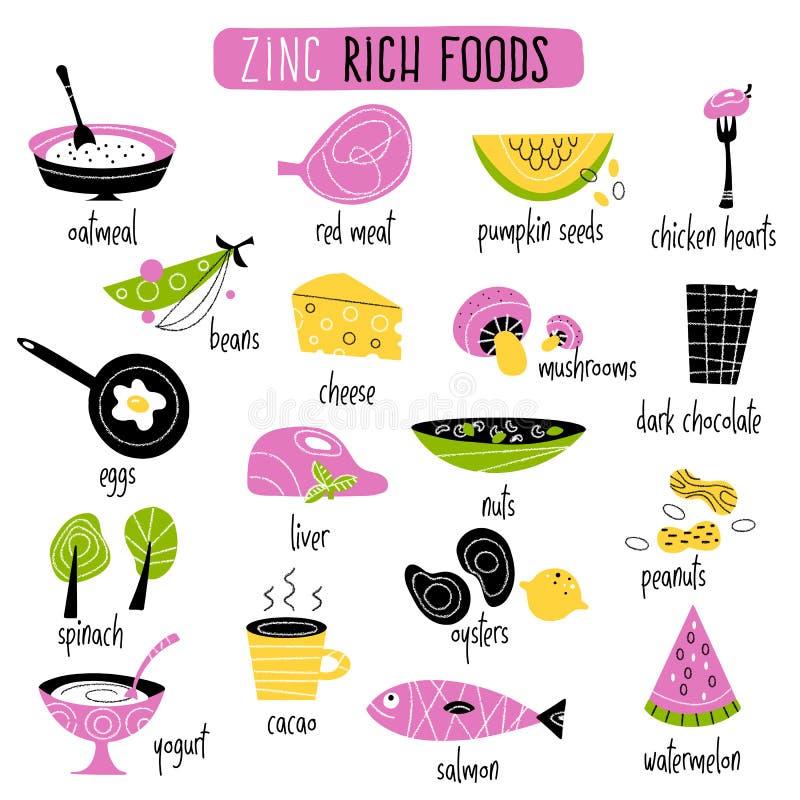 Zinc Rich Foods. Vector Cartoon Illustration Stock Vector ...
