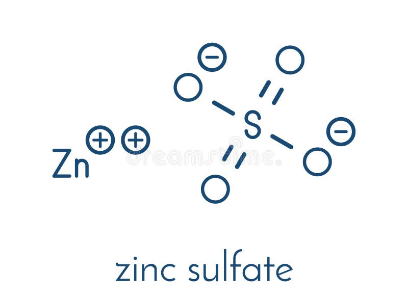 Structure of Skeletal Muscle Stock Vector - Illustration of diagram ...