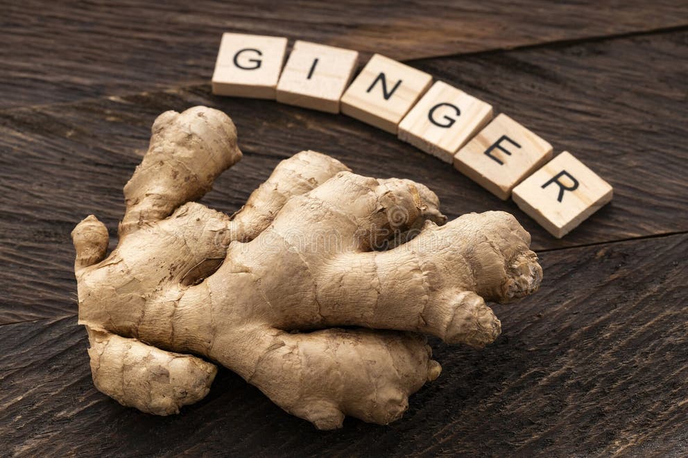 Zingiber Officinale - Ginger Root with Healing Properties Stock ...
