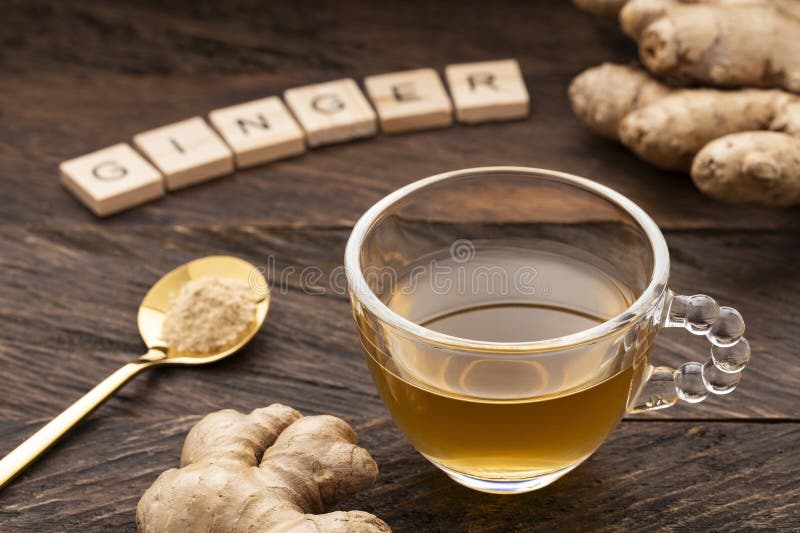 Zingiber Officinale - Hot Organic Ginger Root Tea Stock Illustration ...