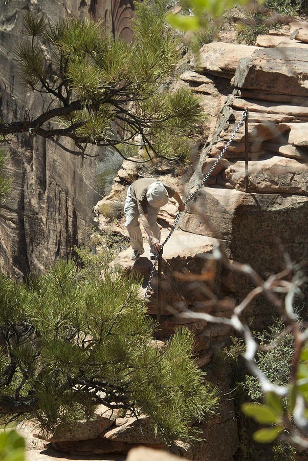 Zion Angels Landing Maneuvering the Drop Off Editorial Photo - Image of ...