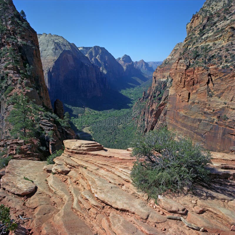 Zion Canyon stock photo. Image of national, zion, canyon - 894692