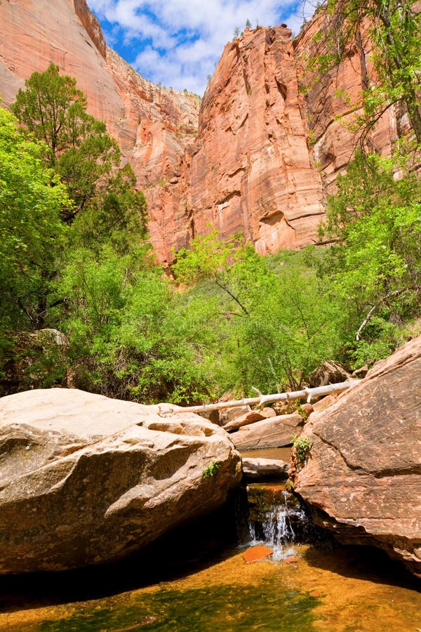 Zion creek stock image. Image of stream, flow, smooth - 18219691