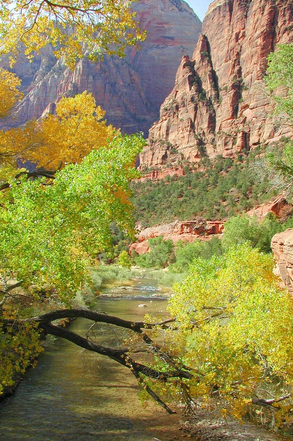 Zion Fall Colors stock photo. Image of zion, orange, national - 193526