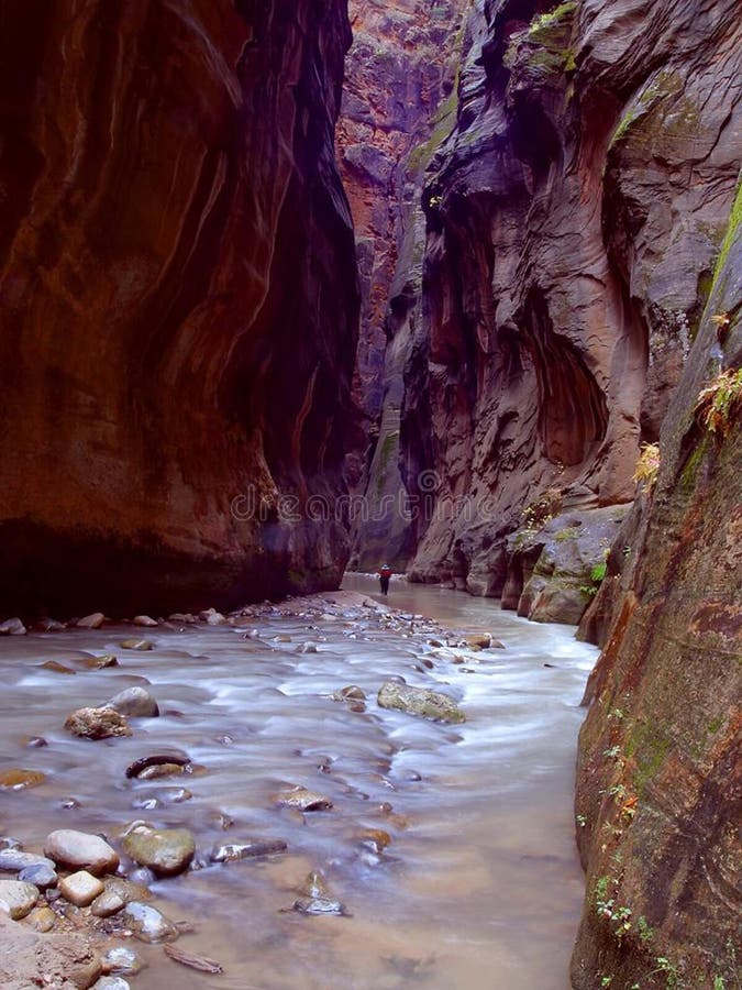 Zion Narrows 4 Picture. Image: 91792335
