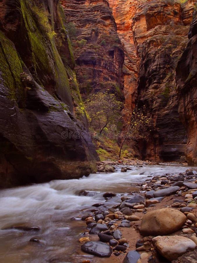 Zion Narrows Picture. Image: 91792426