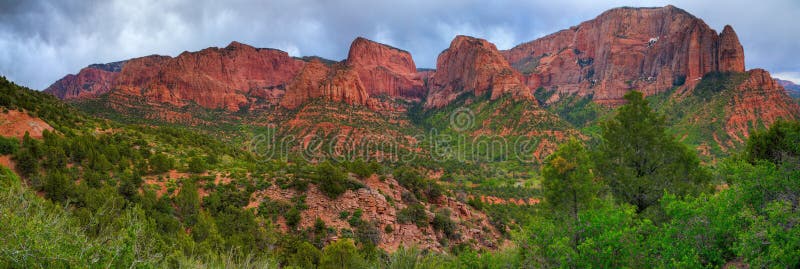 Zion National Park stock photo. Image of forest, canyon - 16310176