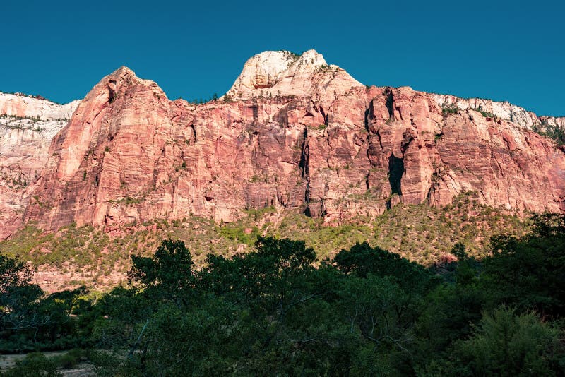 Zion National Park Cliffs, Utah Stock Image - Image of trees, cliffs ...