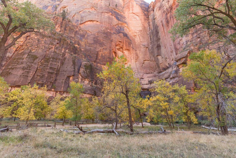 Zion National Park Fall stock photo. Image of beauty - 85969200