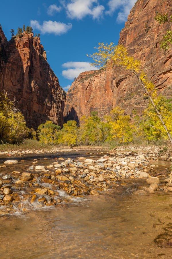 Zion National Park Fall Scenic Stock Photo - Image of trees, national ...