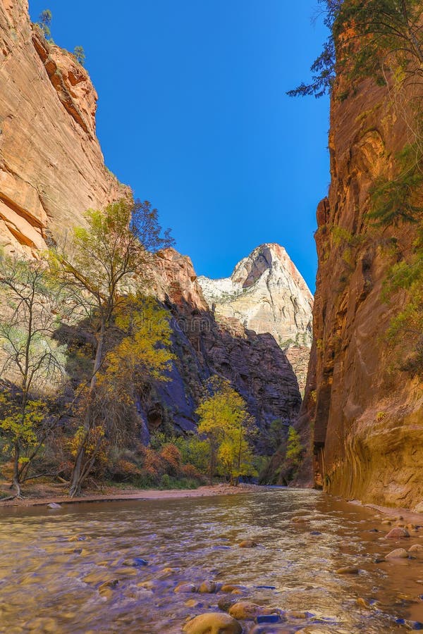 Zion National Park in Fall stock image. Image of autumn - 80565581