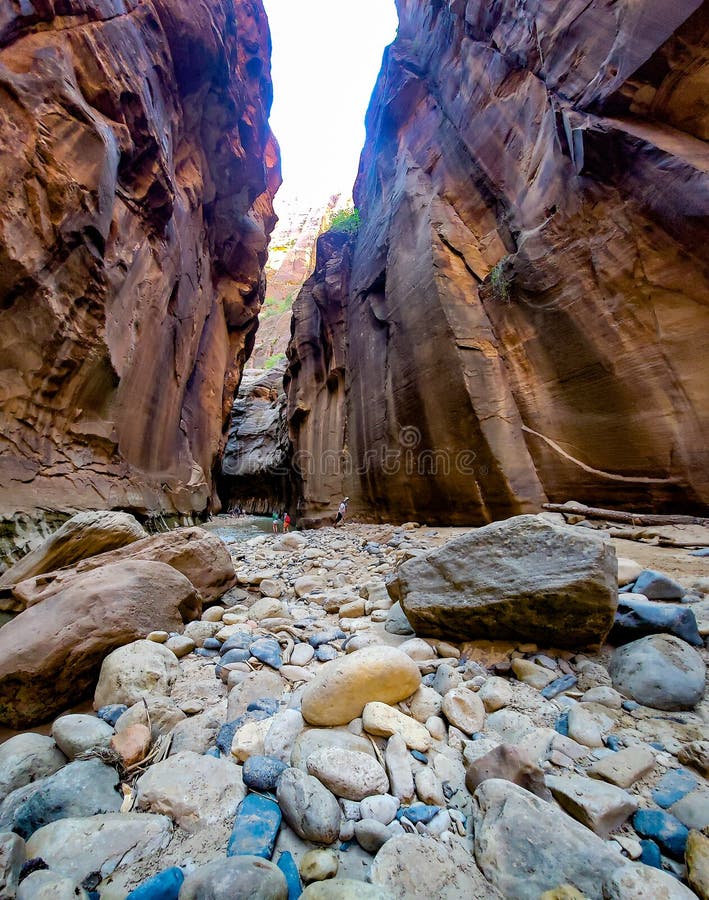 Zion National Park Narrows Trail - Deep Slot Canyons Stock Image ...