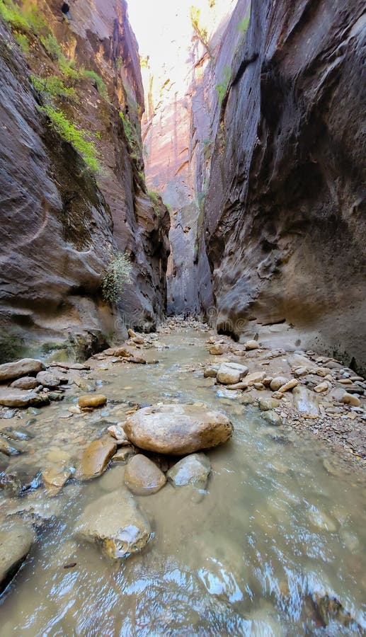 Zion National Park Narrows Trail - Deep Slot Canyons Stock Photo ...