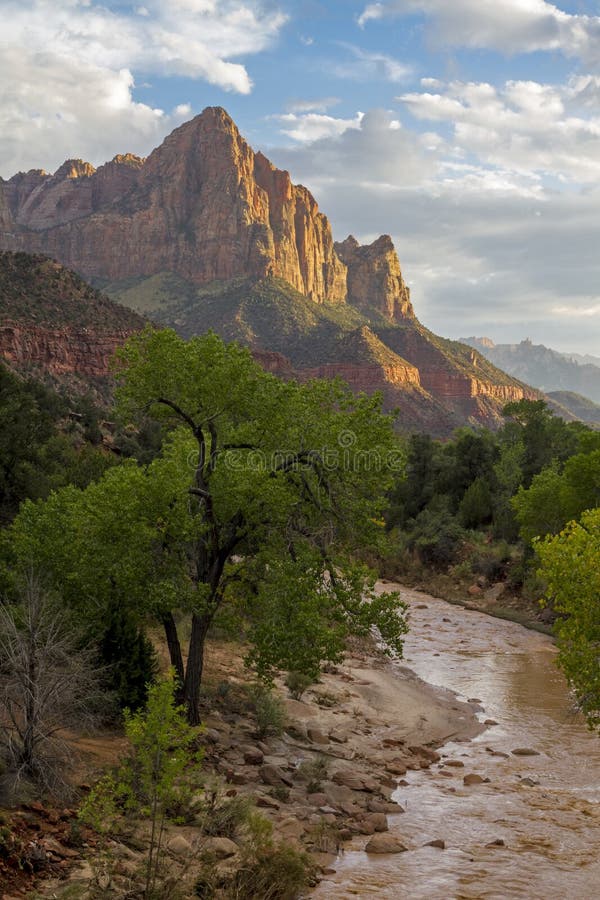 Zion - National park stock image. Image of flow, river - 45880489