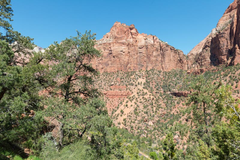 Zion National Park stock image. Image of wilderness, trees - 92308071