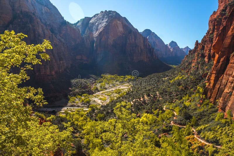Zion stock photo. Image of natural, bryce, forest, green - 81836994