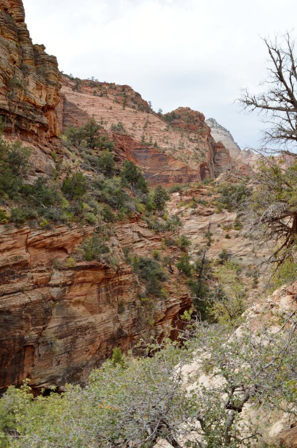 Beautiful Red Mountains in Zion National Park Utah Stock Photo - Image ...