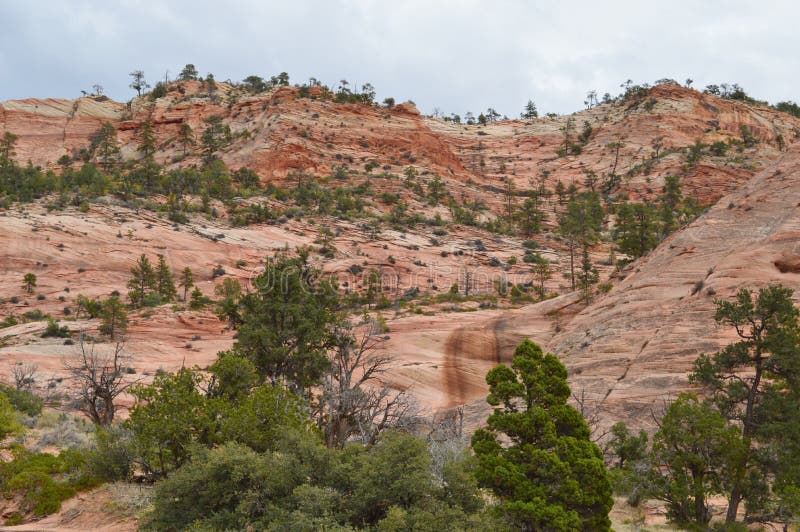 Beautiful Red Mountains in Zion National Park Utah Stock Photo - Image ...