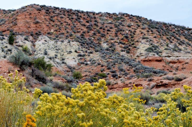 Beautiful Red Mountains in Zion National Park Utah Stock Photo - Image ...