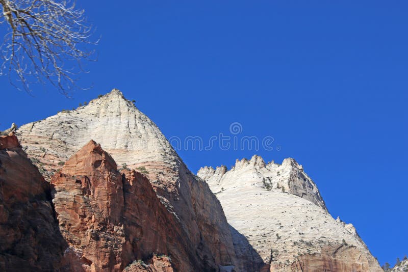 Zion National Park, Utah stock image. Image of park - 103920289