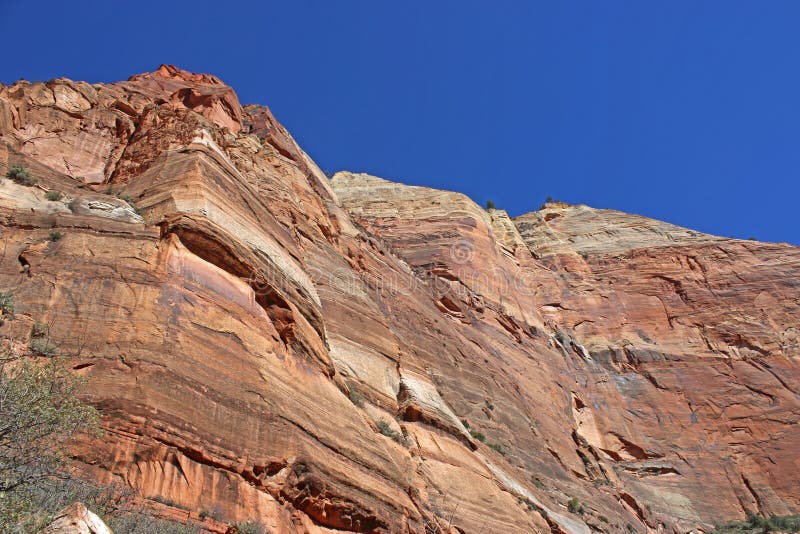Zion National Park, Utah stock image. Image of wall, erosion - 88574021