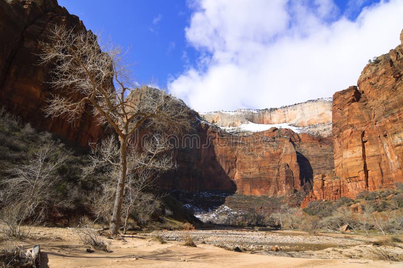 Zion National Park and the Virgin River in Spring Stock Photo - Image ...