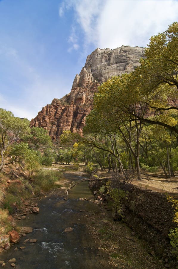 Zion River stock image. Image of green, park, riverbed - 11584787